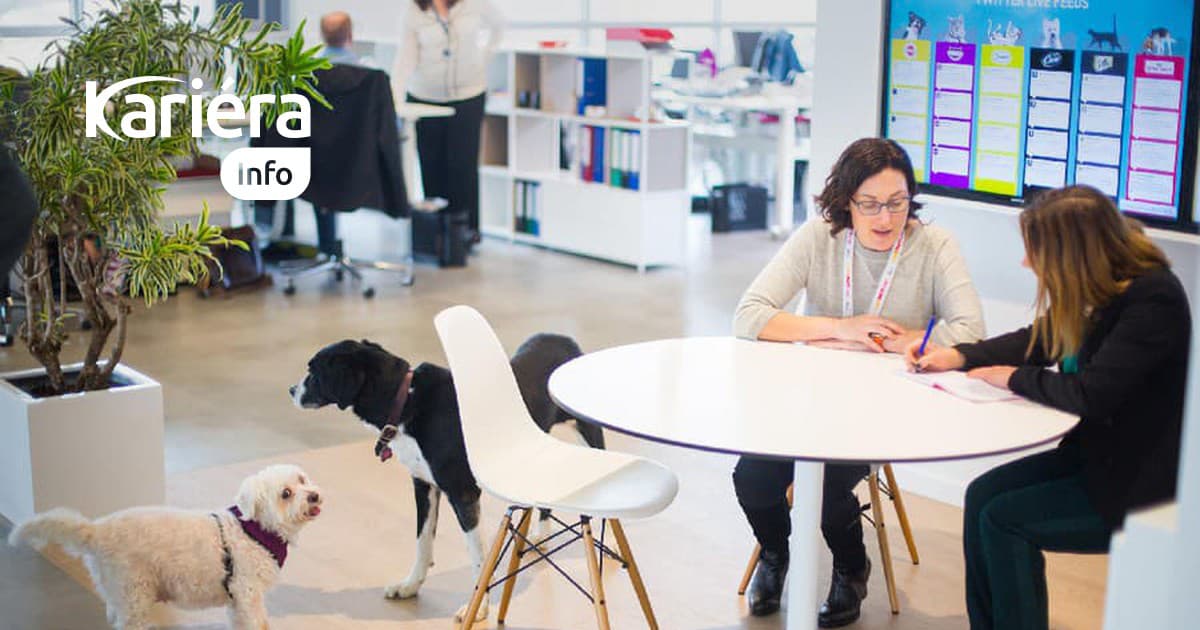 Príjemná atmosféra na pracovisku a vyššia produktivita. Spoločnosť Mars ...