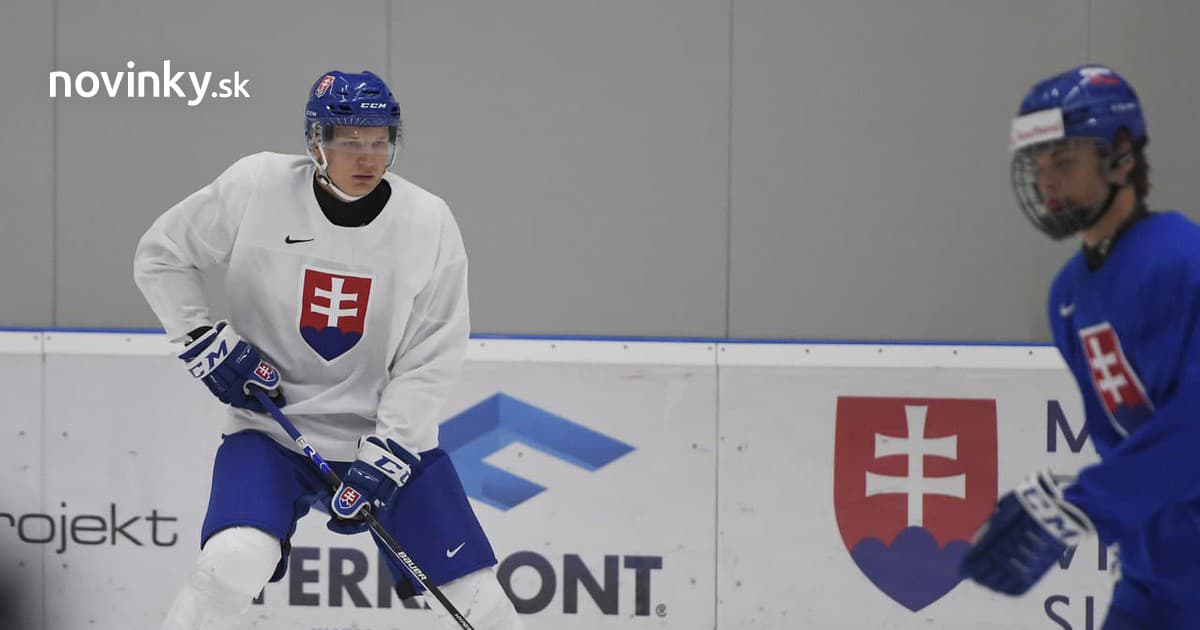 Už zháňa škatule od banánov: Demeka opäť poslali do AHL | Novinky.sk