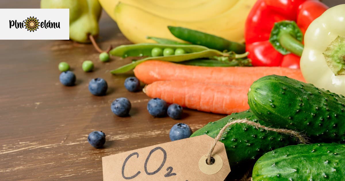 Čo je uhlíková stopa a prečo by vás mala zaujímať? Odborníčka poradí ...