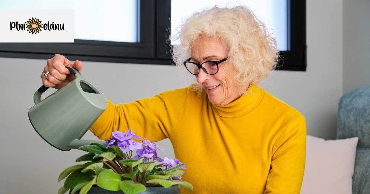 Jednoduché, no pre mnohých ťažké: Väčšina ľudí nesprávne zalieva svoje ...