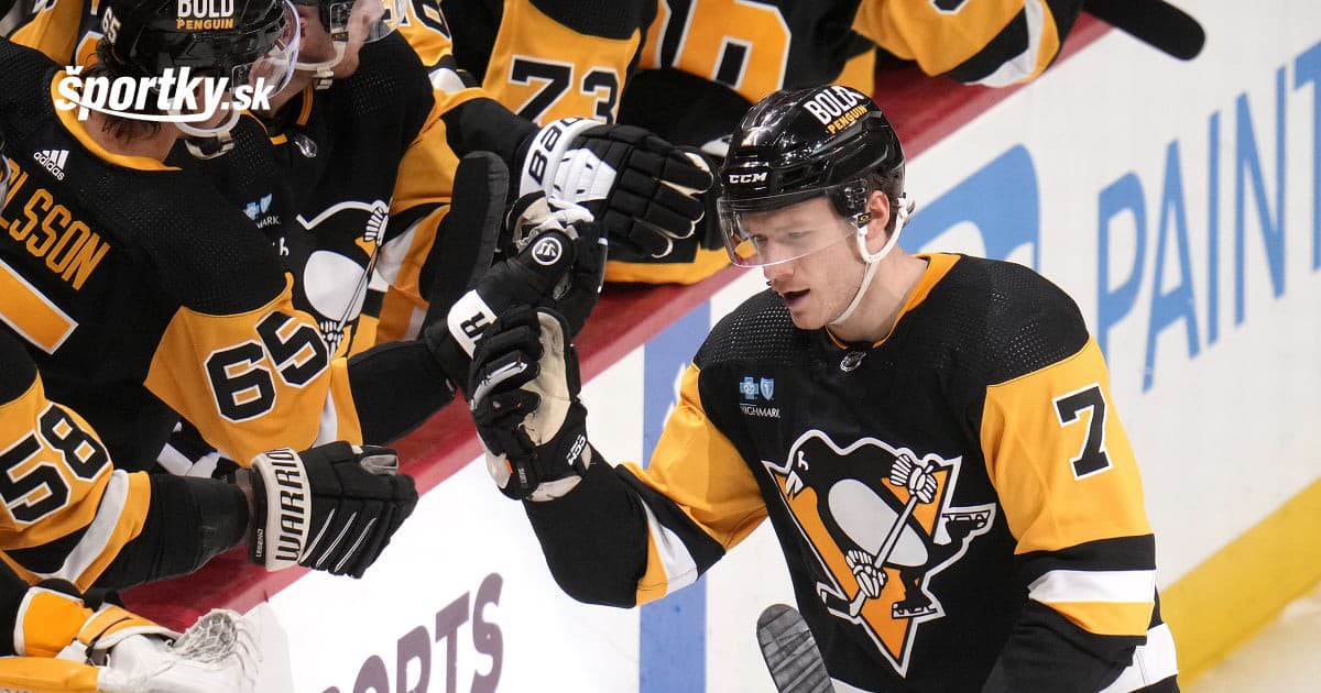 Česko malo na lane nového reprezentanta: Môže sa obranca z NHL ...