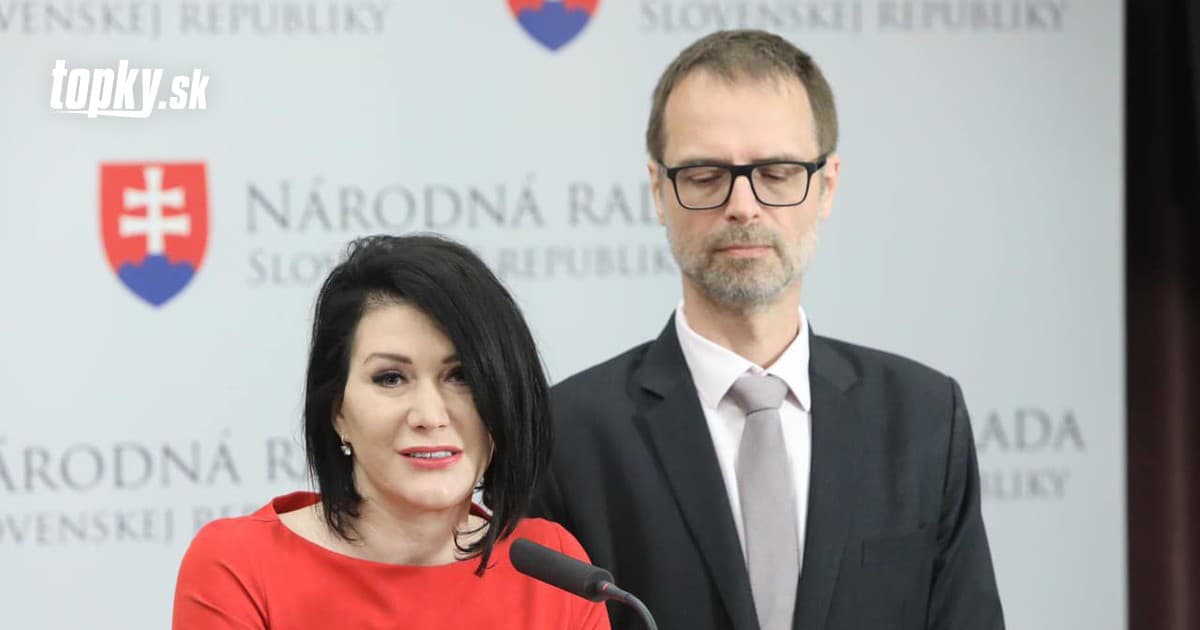 Strana SaS kritizuje návrh k vyplateniu príspevkov organizáciám v ...