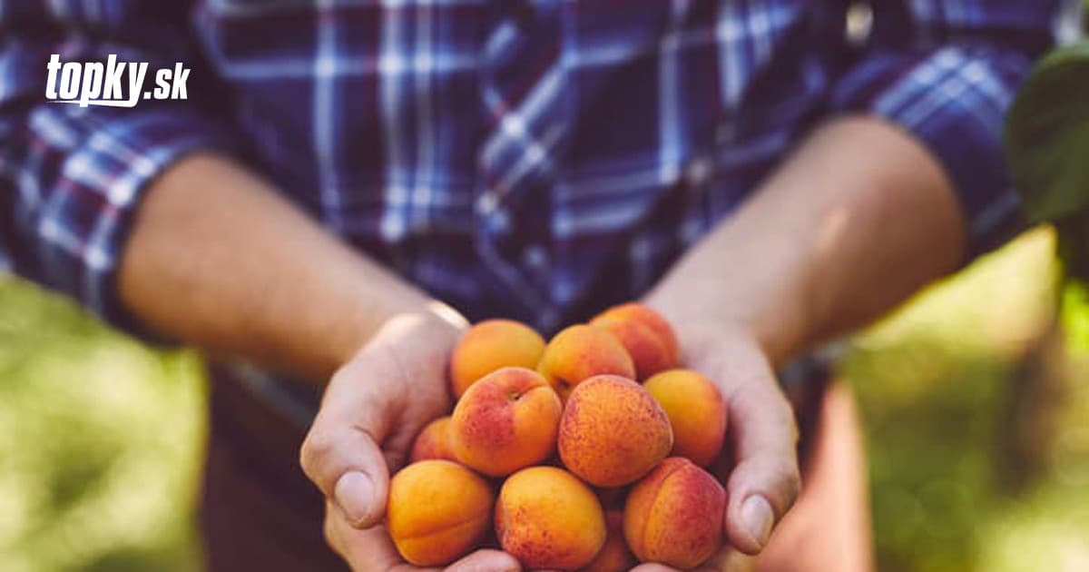 Hoci sú zdravé a nízkokalorické, táto skupina ľudí by nemala jesť marhule: Už malá dávka môže ...