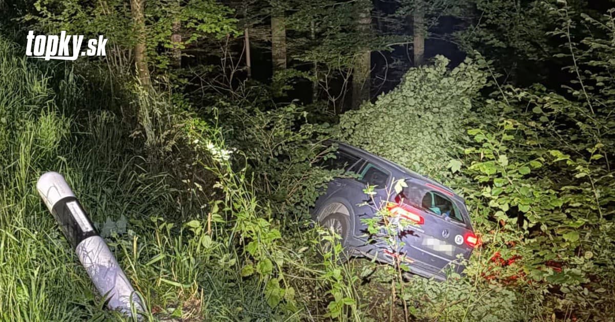 Kuriózna nehoda Slováka: S autom skončil v lese! Bol opitý a to nie je ...