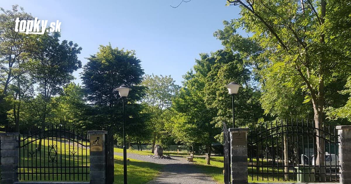 Cintorín pre zvieratá BORIEVKA v Bratislave je už rok v prevádzke ...