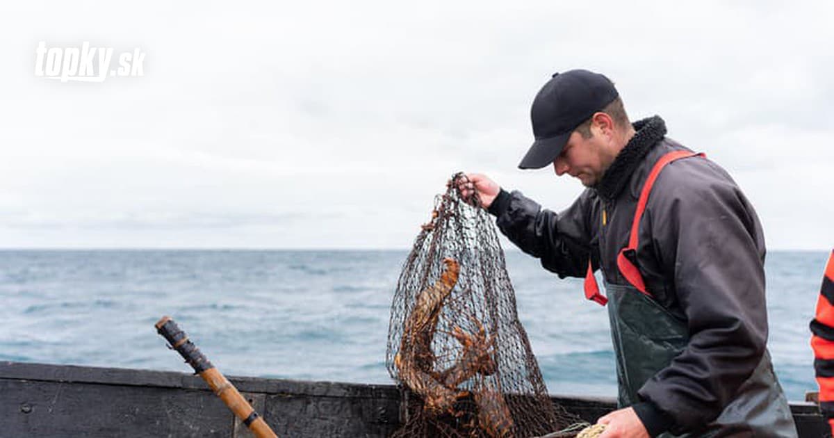 Šokujúci objav na mori: FOTO Rybár ulovil bizarného žraloka, jeho pôvod vám vyrazí dych ...